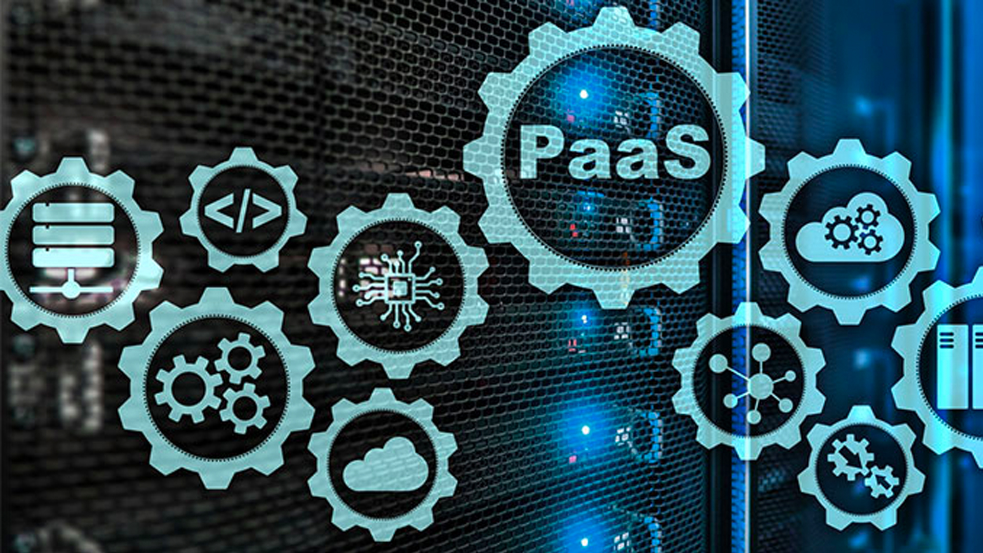 PaaS: the enterprise solution for Sitecore | BIMA