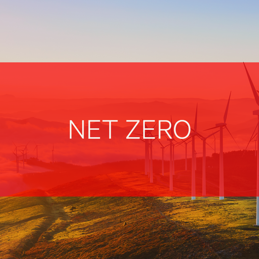 BIMA Programmes | BIMA